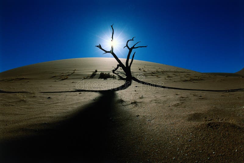 Hitte stock afbeelding. Image of verandering, warm, dorst - 2518695