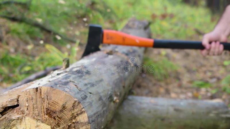 Hitting Tree Trunk with Axe. Close Up View. Stock Footage - Video of ...