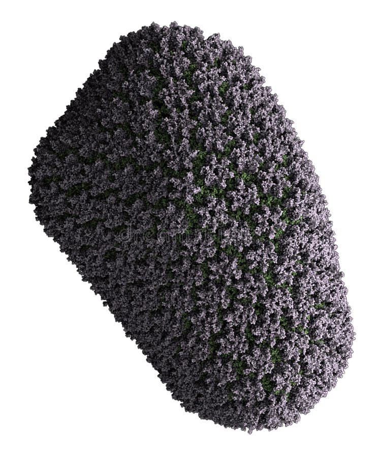 HIV-1 Virus Capsid. Retrovirus, Causative Agent of AIDS. Atomic-level ...