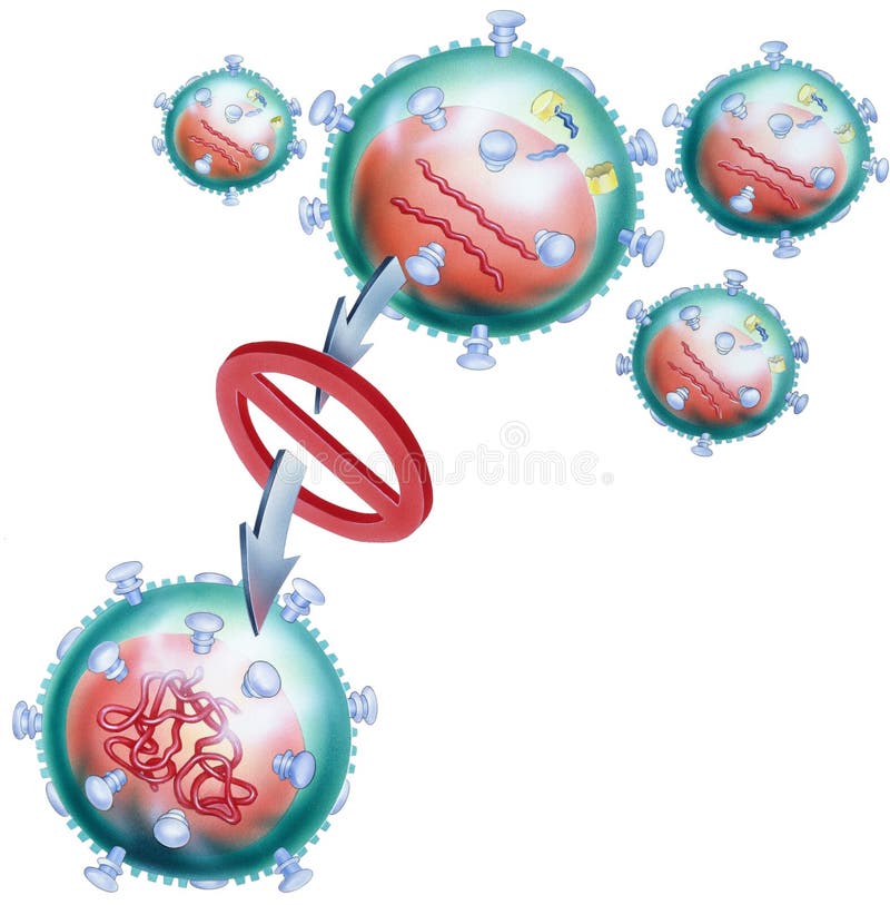 HIV Virus Reverse Transcriptase Block Stock Illustration - Illustration ...