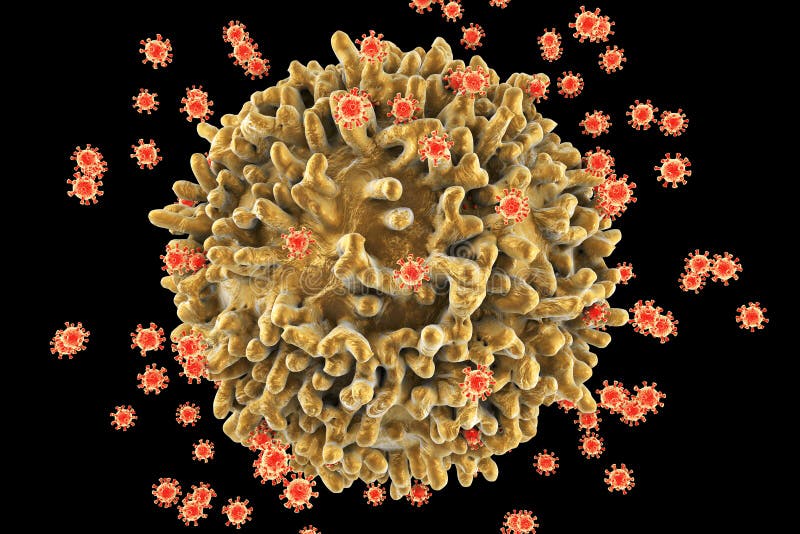 HIV Viruses Infecting T-lymphocyte Stock Illustration - Illustration of ...