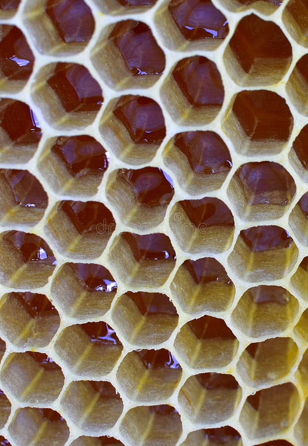 Comb honey stock image. Image of full, honeycomb, ingredients - 94398935