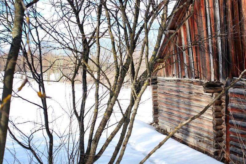 Hiver De Paysage De Mur De Cabane En Rondins Photo stock - Image du ...