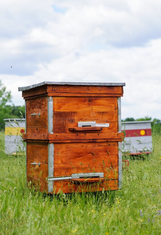 Hives in the apiary stock photo. Image of weight, garden - 78942488