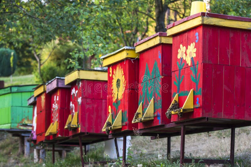 Hives stock photo. Image of grass, nature, house, tree - 66842482