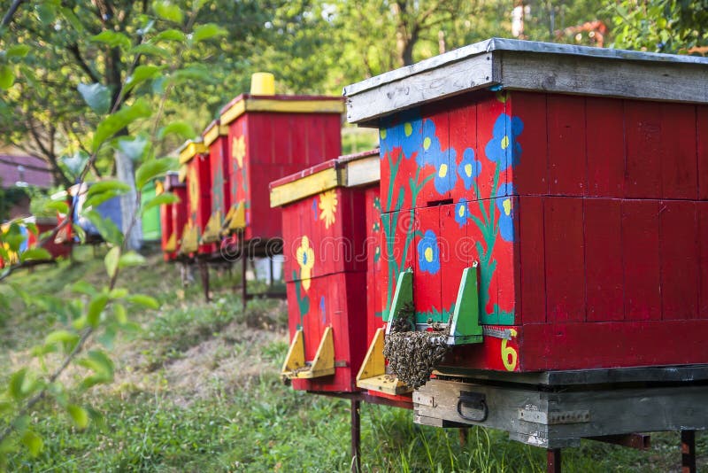 Hives stock image. Image of beautiful, beekeeping, polish - 66985487
