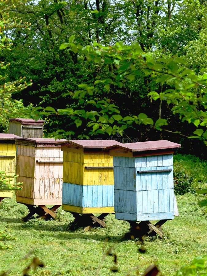 Hives for Bees in the Spring Sun Stock Image - Image of grass, barn ...