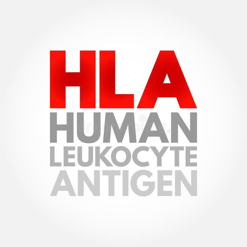 HLA Human Leukocyte Antigen - Complex of Genes on Chromosome 6 in ...