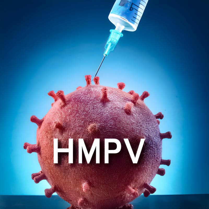 HMPV Virus - Human Metapneumovirus, HMPV Virus Microscopic Stock ...