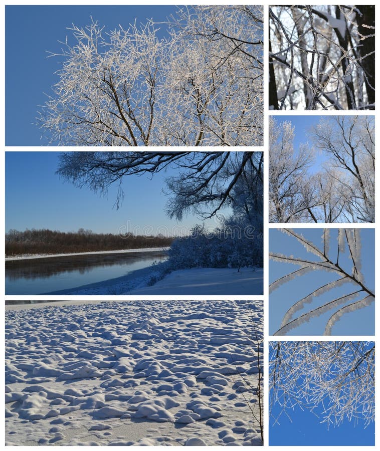 Hoar Forest Blue White Wintry Cold Collage Stock Photos - Free ...