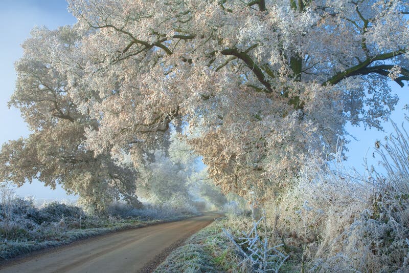 Hoar-frost stock image. Image of seasonal, morning, spring - 19777003