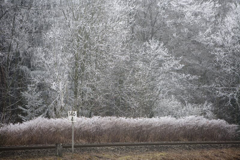 Hoar frost landscape stock photo. Image of idyll, flora - 13389140