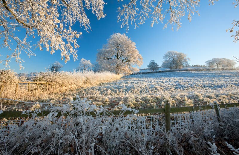 Hoar frost on trees stock photo. Image of lane, hoar - 23486866