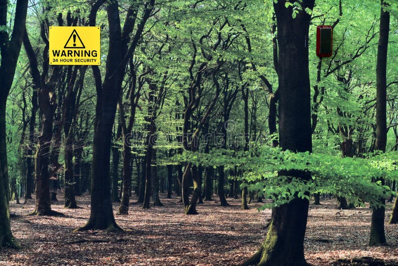 Hoarding stock image. Image of incongruous, trees, boarding - 93832829