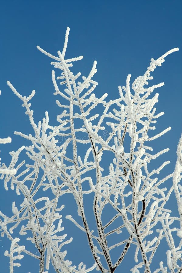 Winter Background with Natural White Frost and Ice Stock Photo - Image ...