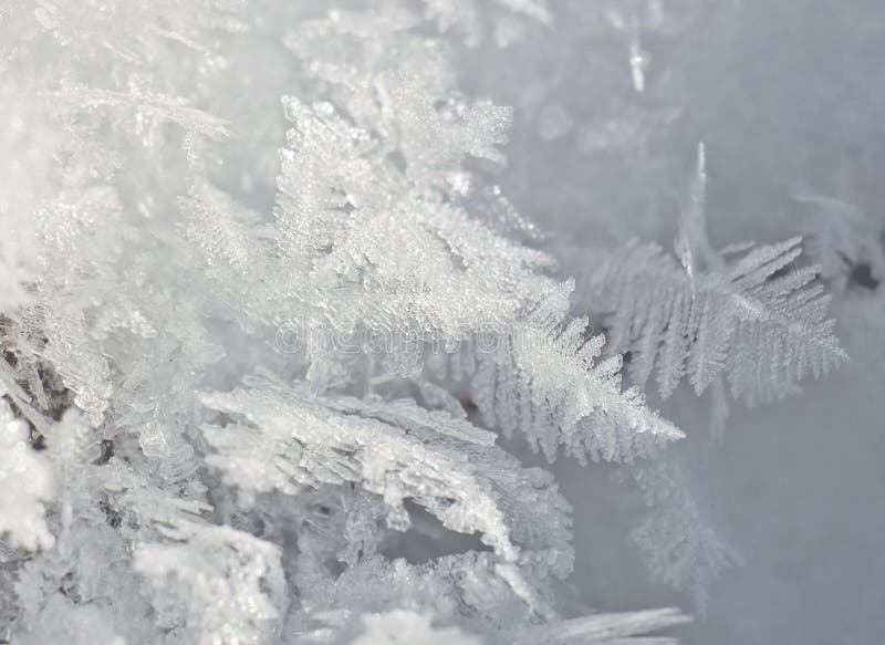 Hoarfrost Formed on Field Grass in FingerLakes Stock Image - Image of ...