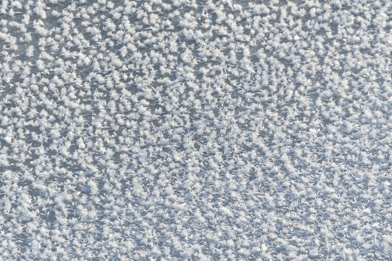 Hoarfrost crystals stock photo. Image of background, shadow - 26657772