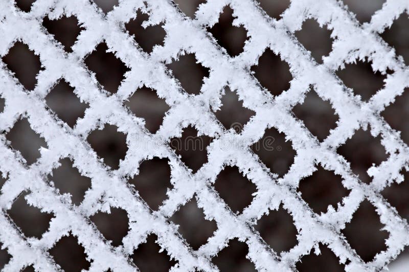 Hoarfrost on a fence grid stock image. Image of snow - 12793841