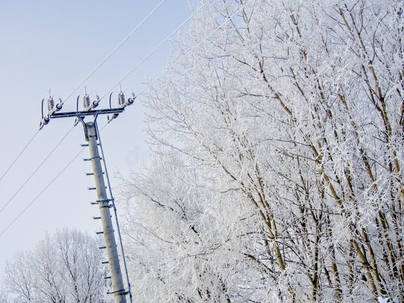 Hoarfrost on Power Lines and Tree Branches on a Frosty Winter Day Stock ...