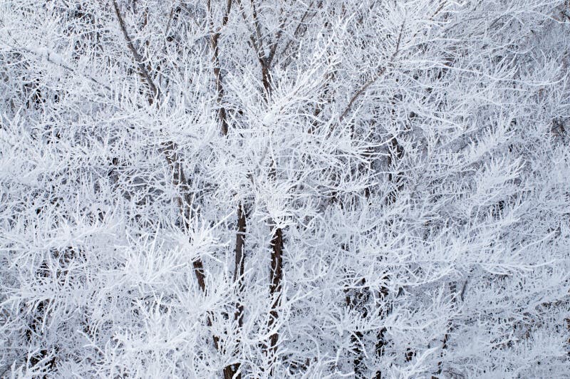 Hoarfrost on car stock photo. Image of bright, headlight - 37119278