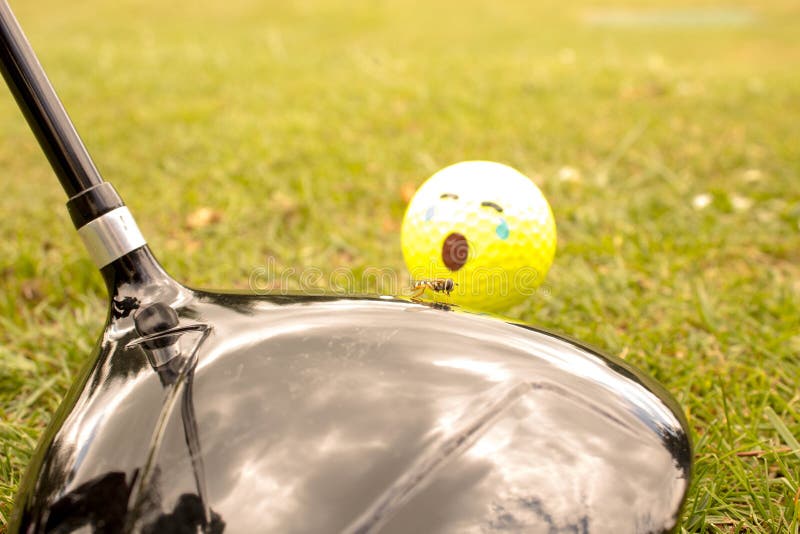 The Hobby of Golf stock image. Image of fairway, ball - 121364491