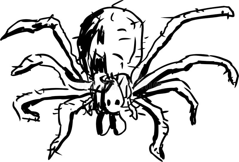 Hobo Spider Stock Illustrations – 12 Hobo Spider Stock Illustrations ...