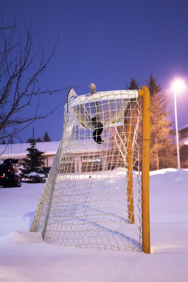 Hockey goal stock photo. Image of rink, sports, night - 36678946