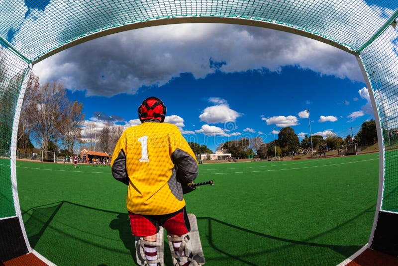 Astro Hockey Fields Goals editorial image. Image of games - 29463430