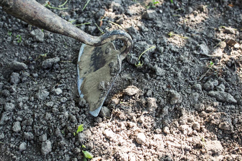 Hoe in the Land of Spring Farming Stock Photo - Image of cultivate ...