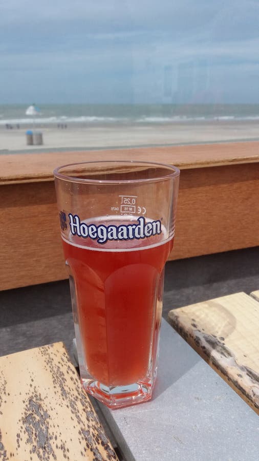 A Can of Hoegaarden Rosee Belgium Beer 500 Ml Size Editorial Image ...