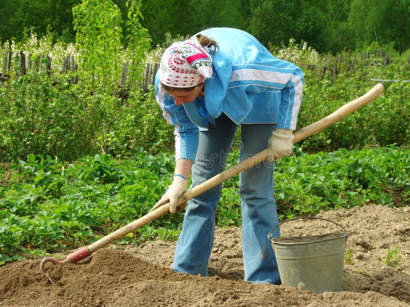 Hoeing stock image. Image of care, raise, gardening, activity - 9662671