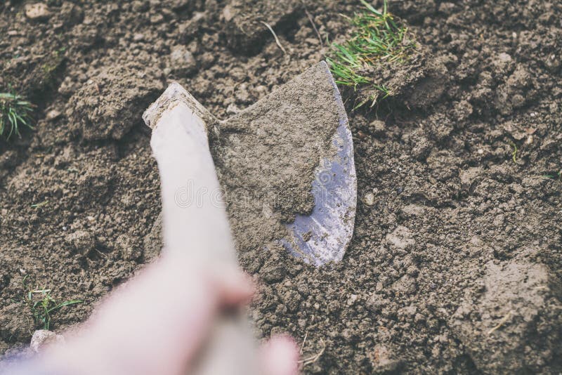 Hoeing stock photo. Image of hoeing, cultivation, patch - 67888236