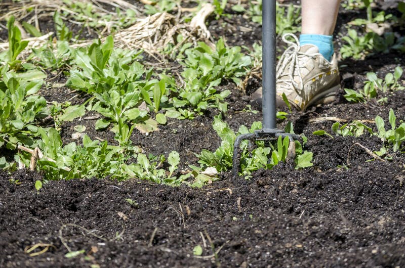 Gardening tools stock photo. Image of farm, equipment - 40533310