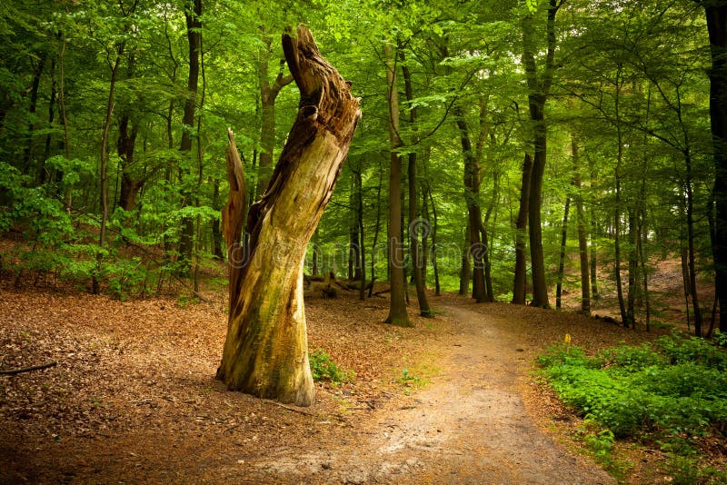 Hoge Erf stock photo. Image of daylight, season, outside - 19749508