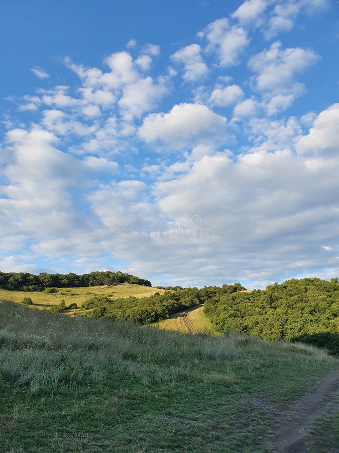 Hoia Baciu forest stock image. Image of travel, destination - 227355125
