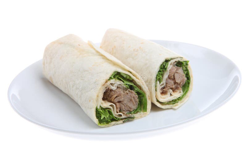 Hoisin Duck Wrap stock photo. Image of hoisin, healthy - 5455490