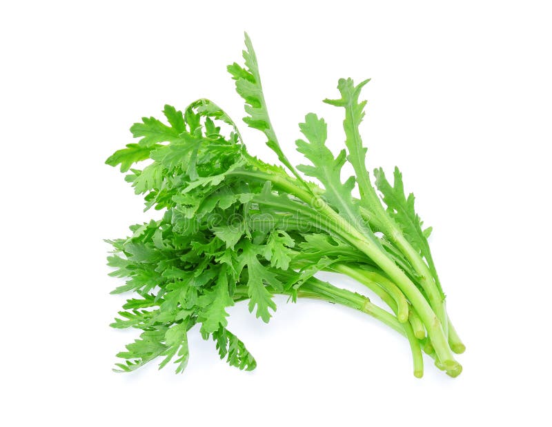 Hoja De Crisantemo Comestible Aislada En Blanco Imagen de archivo ...