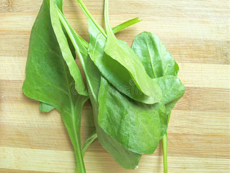 Hoja De La Espinaca En Fondo De Madera Imagen de archivo - Imagen de ...