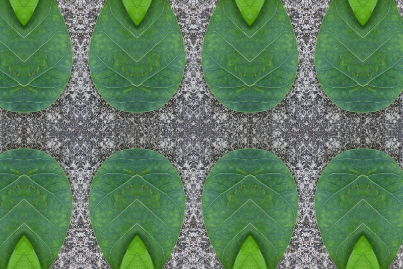 Hoja De La Forma De La Idea Imagen de archivo - Imagen de ornamento ...