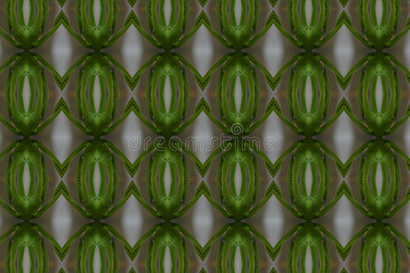 Hoja De La Forma De La Idea Imagen de archivo - Imagen de forma ...