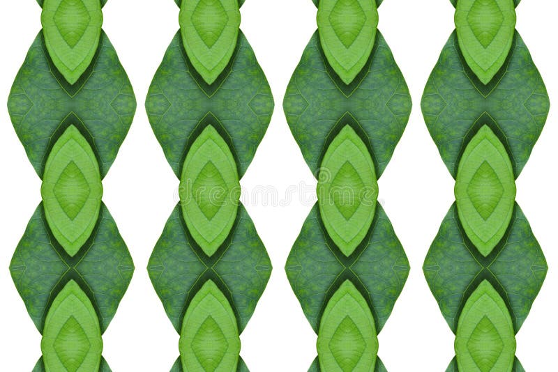 Hoja De La Forma De La Idea Stock de ilustración - Ilustración de idea ...