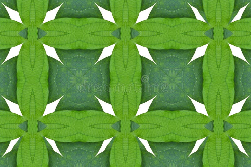 Hoja De La Forma De La Idea Foto de archivo - Imagen de idea, hoja ...