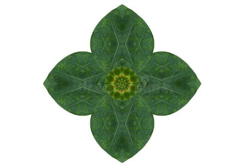 Hoja De La Forma De La Idea Imagen de archivo - Imagen de camilla ...