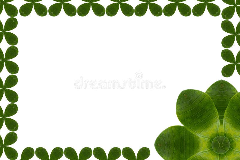 Hoja De La Forma De La Idea Imagen de archivo - Imagen de arte ...