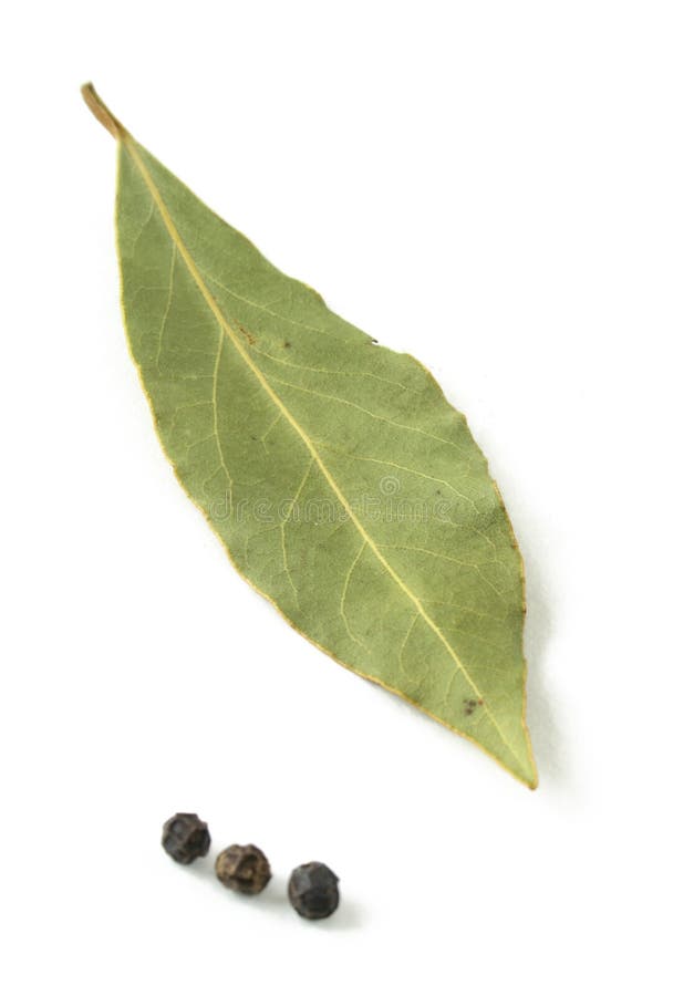 20,943 Hoja De Laurel Fotos - Libres de Derechos y Gratuitas de Dreamstime