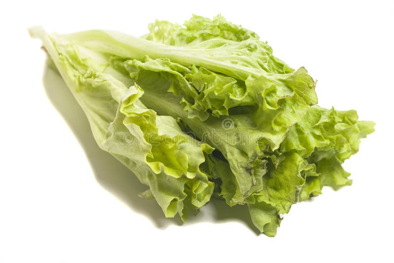 Hoja De Lechuga Aislada En Blanco Foto de archivo - Imagen de ...