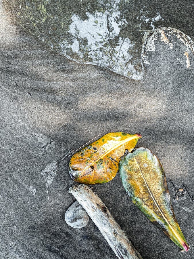 Anugrah Wibisono (Legiana) - Photographer profile