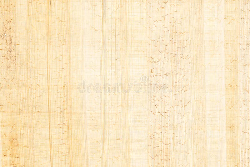 Hoja de papiro imagen de archivo. Imagen de fibra, textura - 185545071