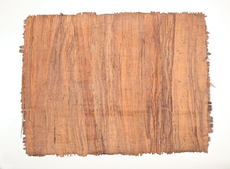 Hoja del papiro. imagen de archivo. Imagen de elemento - 8401489