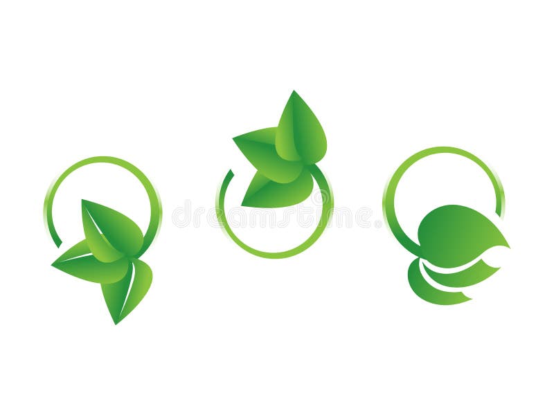 Hoja en círculo ilustración del vector. Ilustración de flor - 3035305